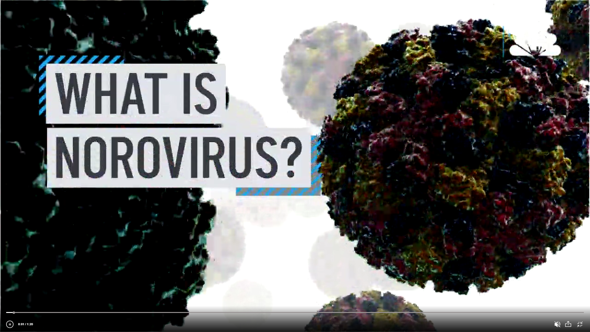 Norovirus spiking again? Here are the symptoms to watch for as cases ...
